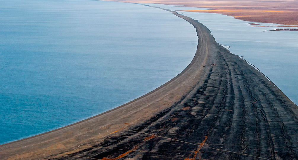 La isla Wrangel, un paraíso ruso para la vida silvestre