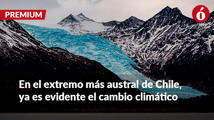 El cambio climático suena en los bosques del fin del mundo en Chile