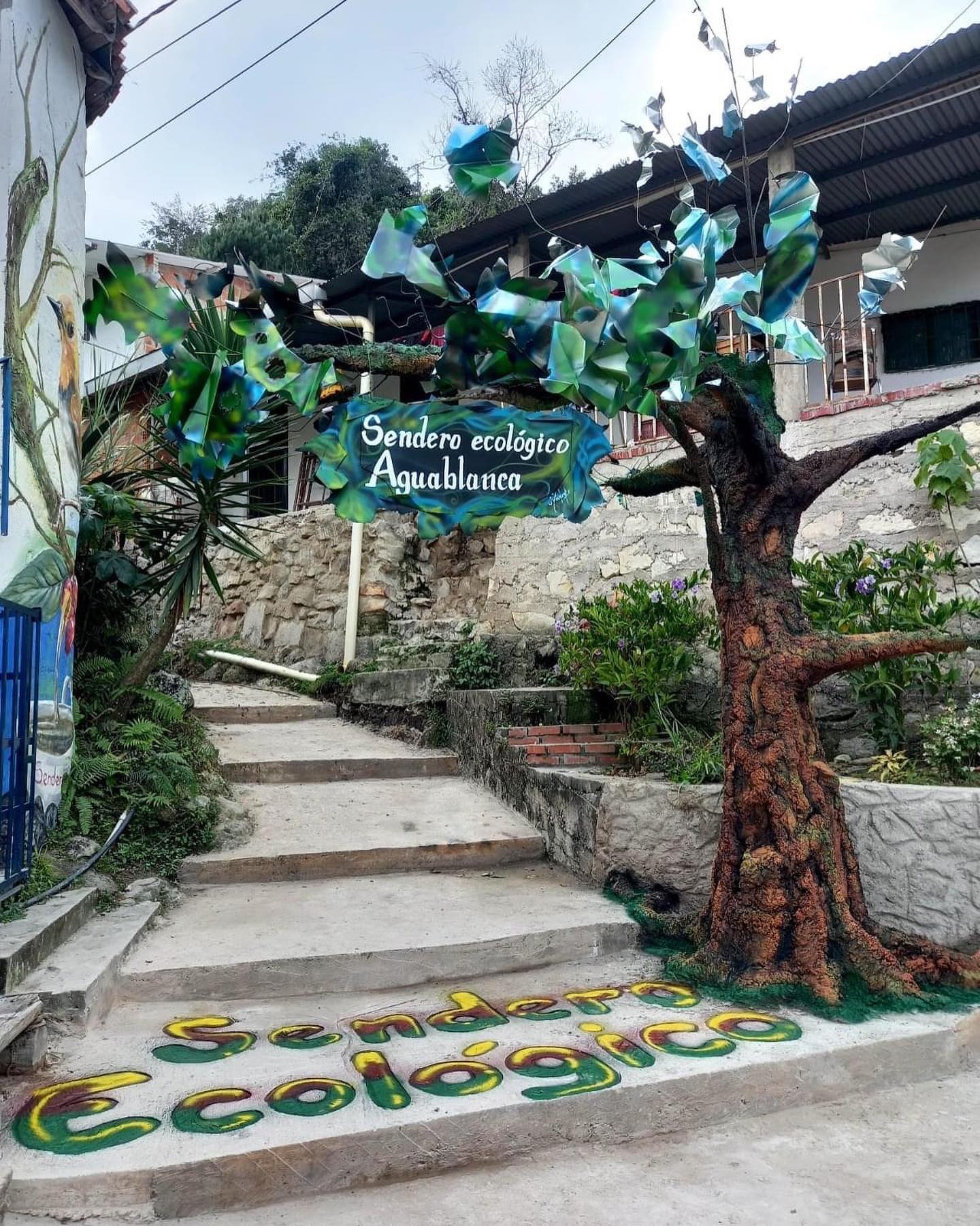 Sendero ecológico en Bochalema, una opción para disfrutar