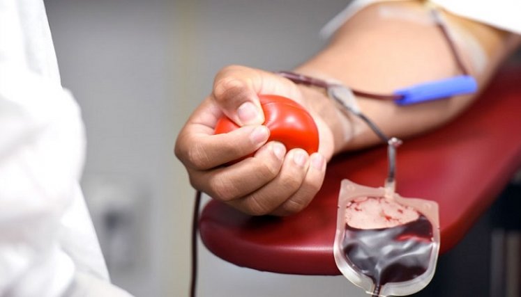 Hallan microplásticos en la sangre humana ¿Qué significa?