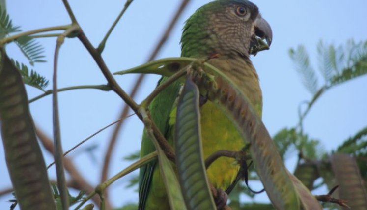 Estos son los inquilinos del Parque Santander